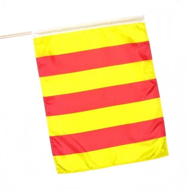 F1 Flags | Meaning, Details and Full information