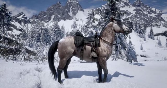 5 best horses in Red Dead Online