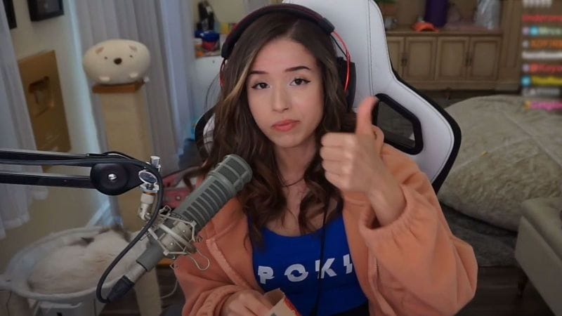 PokimaneFan333 labelled biggest Poki simp on the internet