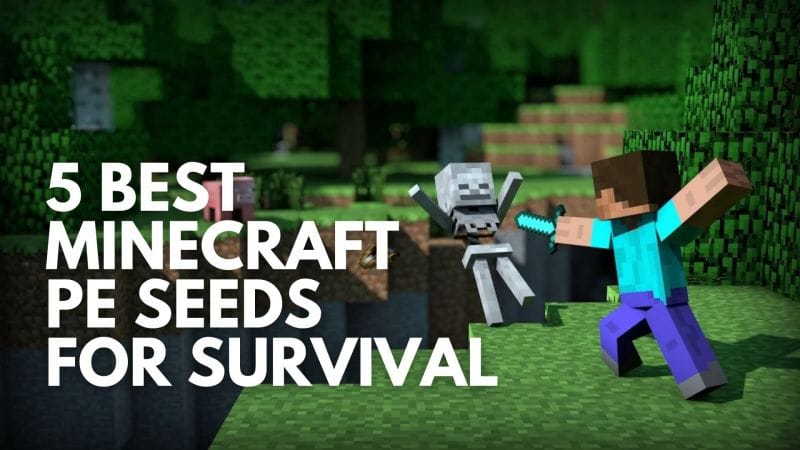 5 best Minecraft Pocket Edition seeds for survival