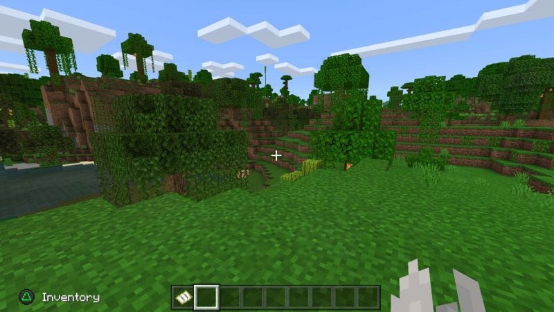 What is the rarest biome in Minecraft?