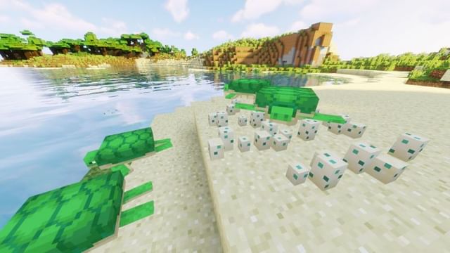 How to get scutes in Minecraft