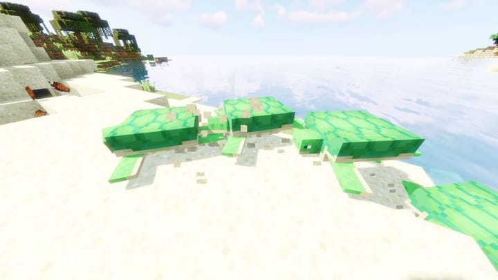 How to gain the turtle shell in Minecraft