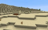 5 best Minecraft seeds for temples