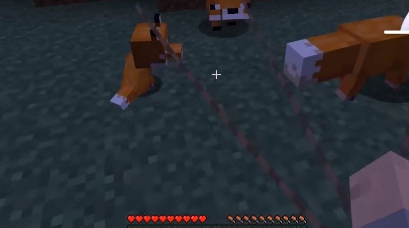 How to Tame a Fox in Minecraft & Make It Your Pet