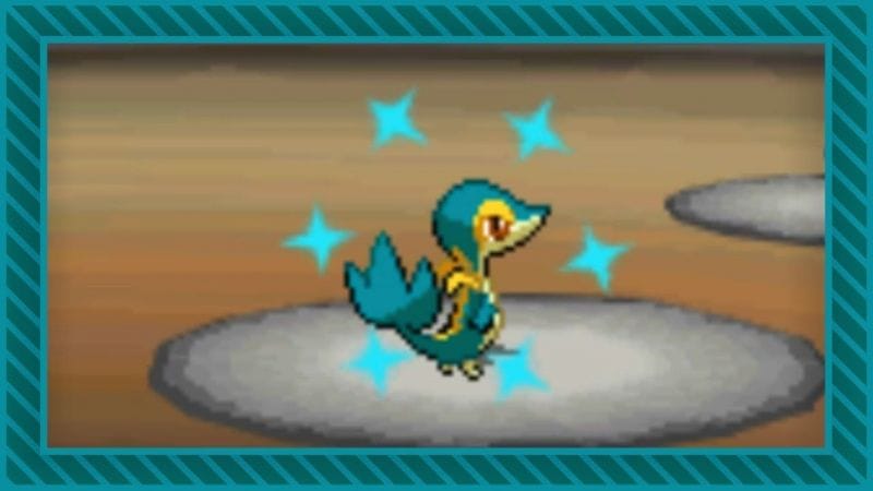 How to get a Shiny Snivy in Pokemon GO