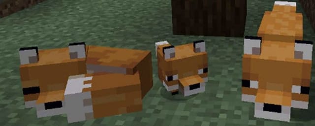 How to Tame a Fox in Minecraft & Make It Your Pet