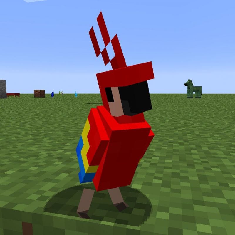 Minecraft Parrots Wiki - Behavior, Spawn, Breeding, FAQs & More