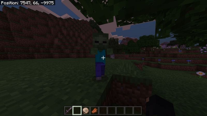 Minecraft Zombie: Types of Zombies, How to tame & Behavior in Minecraft