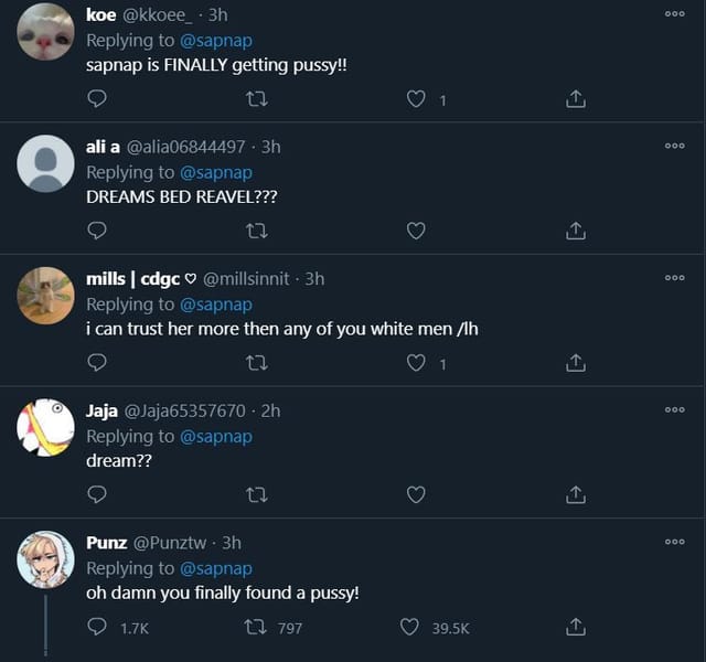 Twitter breaks after Minecraft star Dream‘s alleged cat surfaces in ...