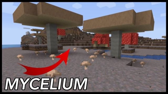 The uses for Mycelium in Minecraft