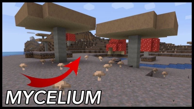The uses for Mycelium in Minecraft
