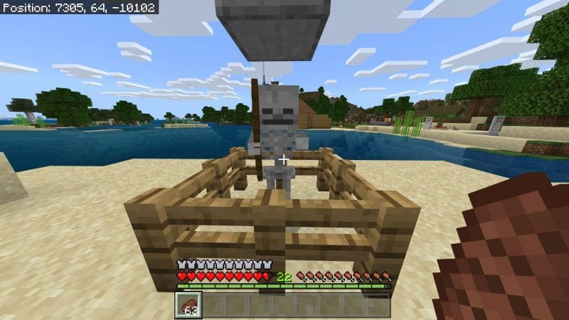 Minecraft Skeleton : Spawning and Behavior