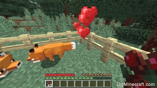 Minecraft Fox: Spawning, Behavior, Breeding, Taming, FAQs, Trivia & More