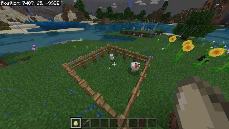 How to breed and tame a chicken in Minecraft?