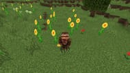Where to find Minecraft sunflowers