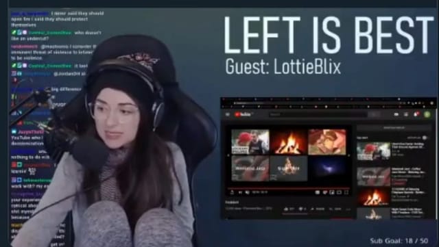 Top 5 Streamers who ruined their career in seconds