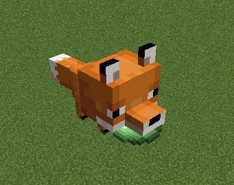 Minecraft Fox: Spawning, Behavior, Breeding, Taming, FAQs, Trivia & More