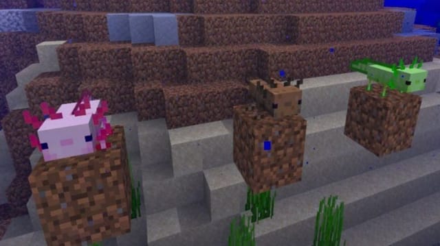 How to easily get Minecraft axolotls in buckets
