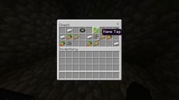 Minecraft Name Tag Wiki Guide All You Need To Know