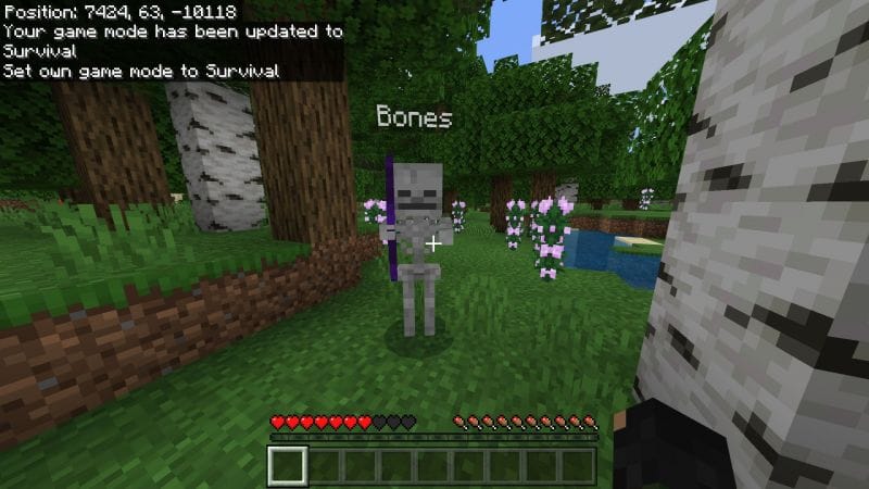 Minecraft Name Tag Wiki Guide: All You Need To Know