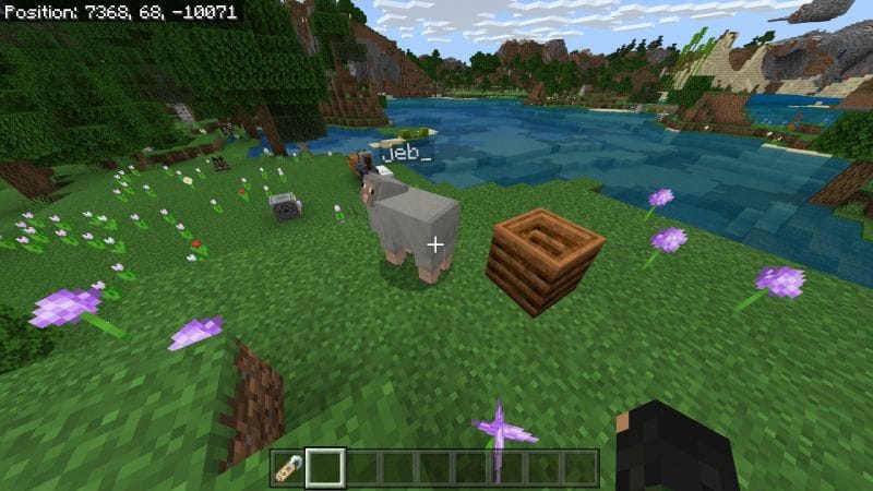 Minecraft Name Tag Wiki Guide: All You Need To Know