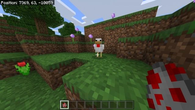 How to breed and tame a chicken in Minecraft?
