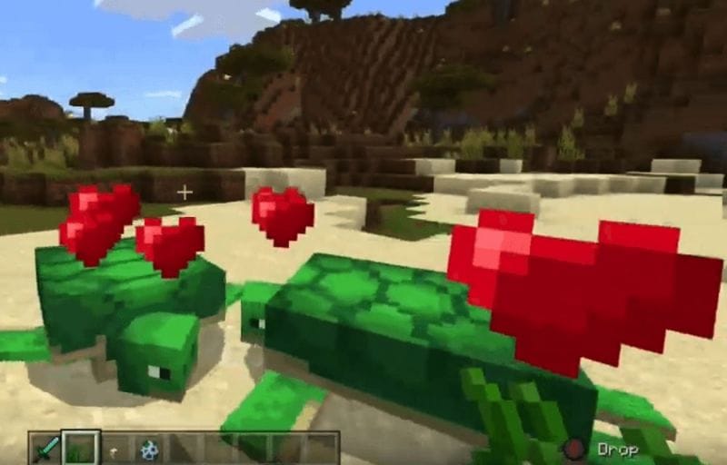 When do turtle eggs hatch in Minecraft?