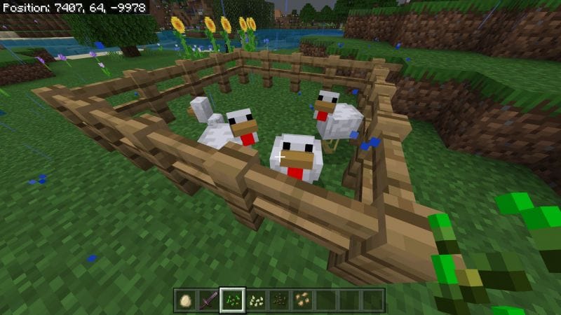 How to breed and tame a chicken in Minecraft?