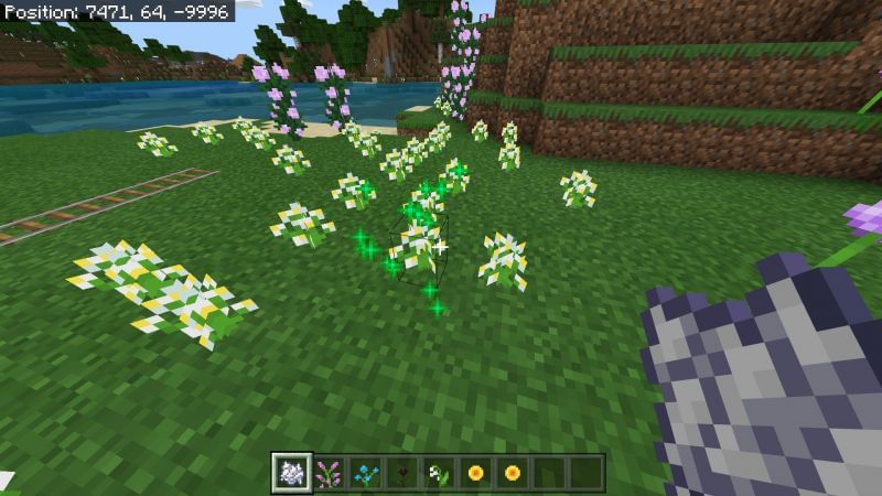 What is a Flower in Minecraft? How to get and Use it?