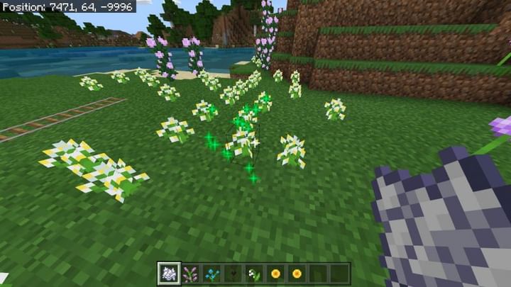 What is a Flower in Minecraft? How to get and Use it?