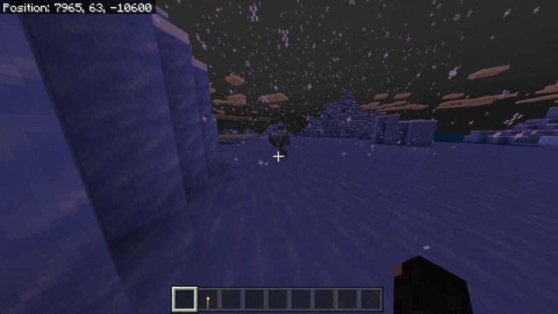 Minecraft Skeleton : Spawning and Behavior