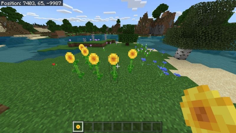 What is a Flower in Minecraft? How to get and Use it?