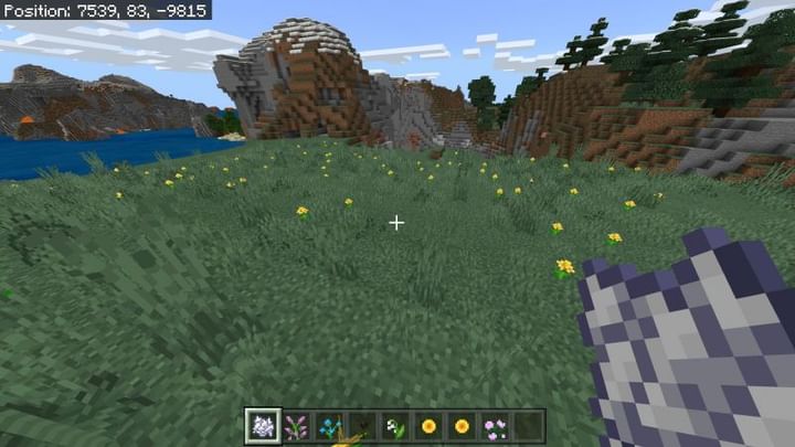 What is a Flower in Minecraft? How to get and Use it?