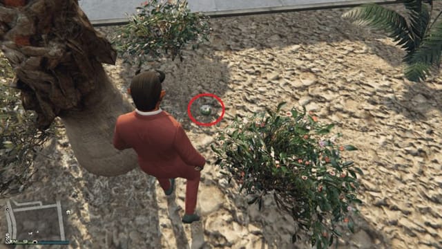 Complete list of all animal hallucinations from Peyote Plants in GTA Online