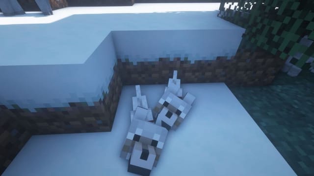 Wolves in Minecraft: Everything players need to know