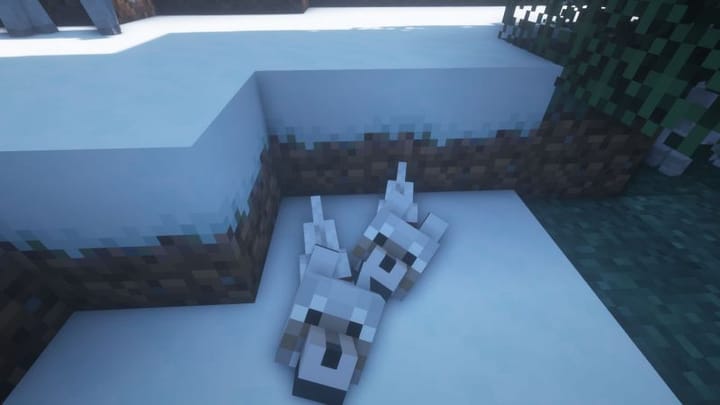 Wolves in Minecraft: Everything players need to know