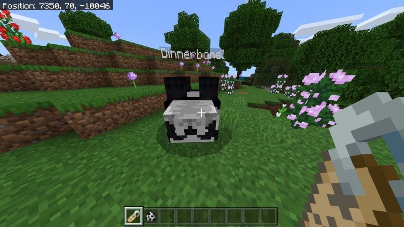 Minecraft Name Tag Wiki Guide: All You Need To Know