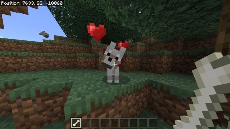 Top 5 things you probably didn't know about wolves in Minecraft