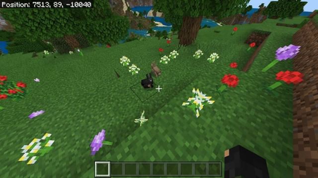 Minecraft Rabbit: Spawning, Behavior, Drops