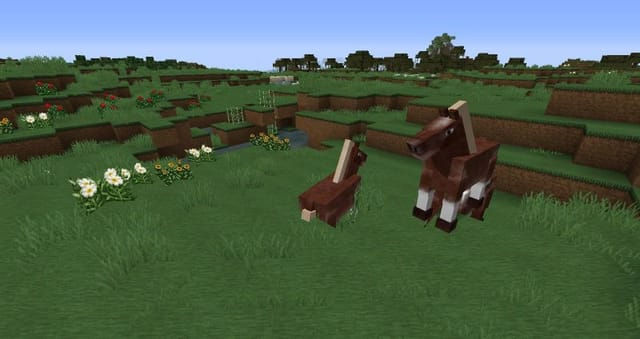 5 best Minecraft Java Edition resource packs