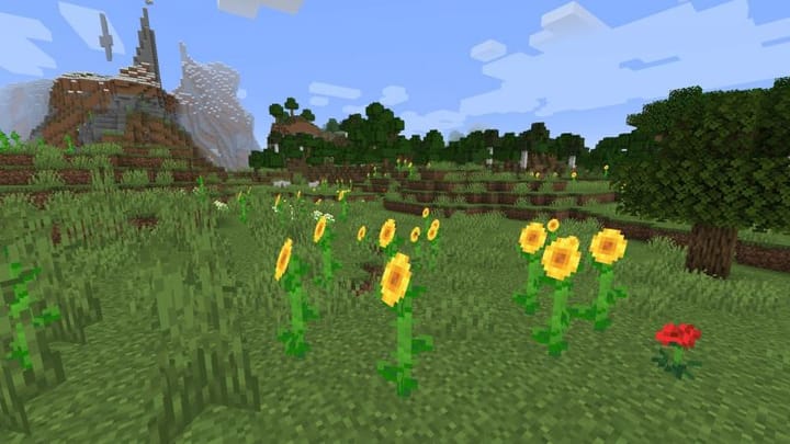 Where to find Minecraft sunflowers