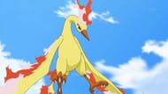 Top 5 Flying Legendary Pokemon