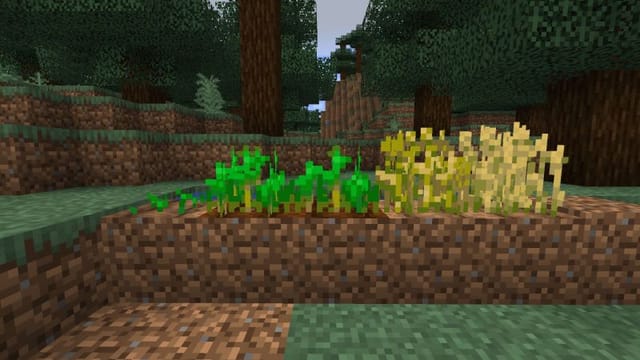 Random tick speed in Minecraft: Everything players need to know
