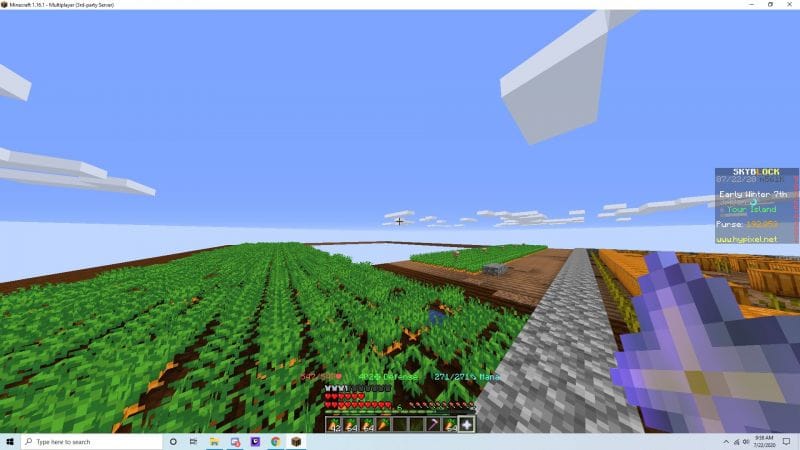 How to find and grow carrots Minecraft