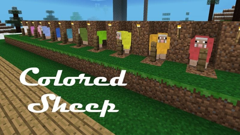 Breeding sheep in Minecraft: Everything player need know