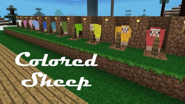 Breeding sheep in Minecraft: Everything player need know