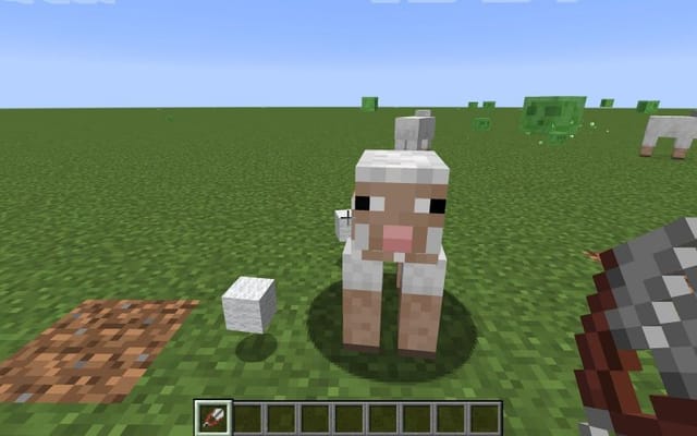 How to make a carpet in Minecraft: All details you need to know!