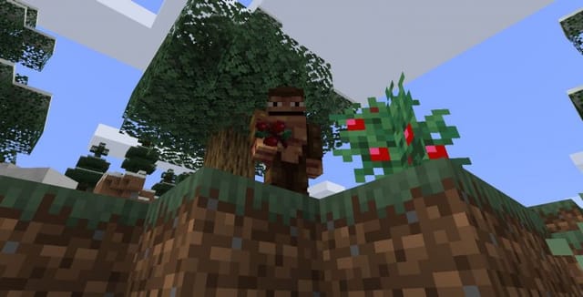 Sweet Berries in Minecraft: Everything players need to know