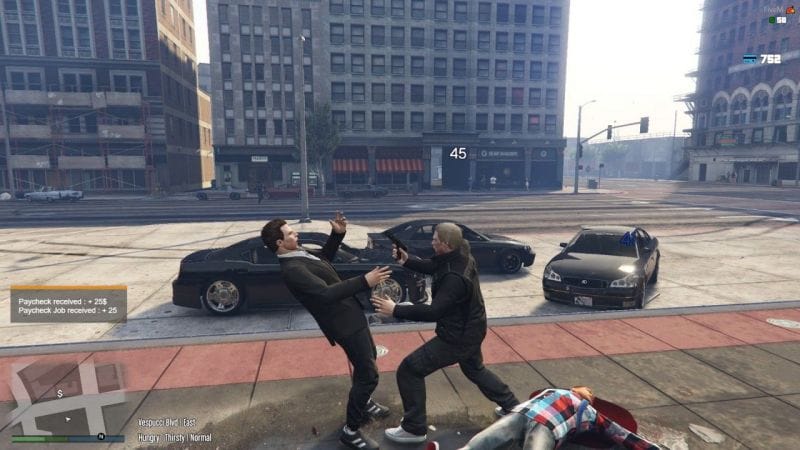 What do VDM and RDM mean in GTA RP?